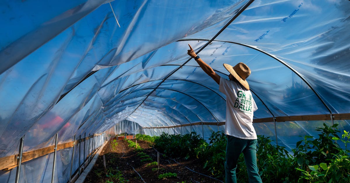 How to Use Floating Row Covers in a Greenhouse – MyGreenhouseStore.com