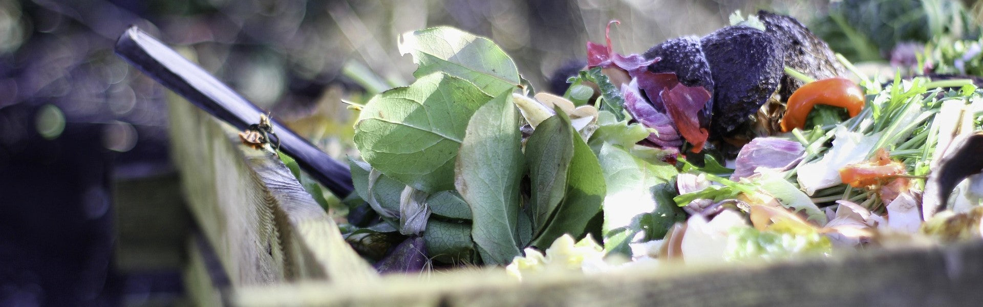 Transform Your Waste into Nutrient-Rich Compost with Our Compost Bins ...