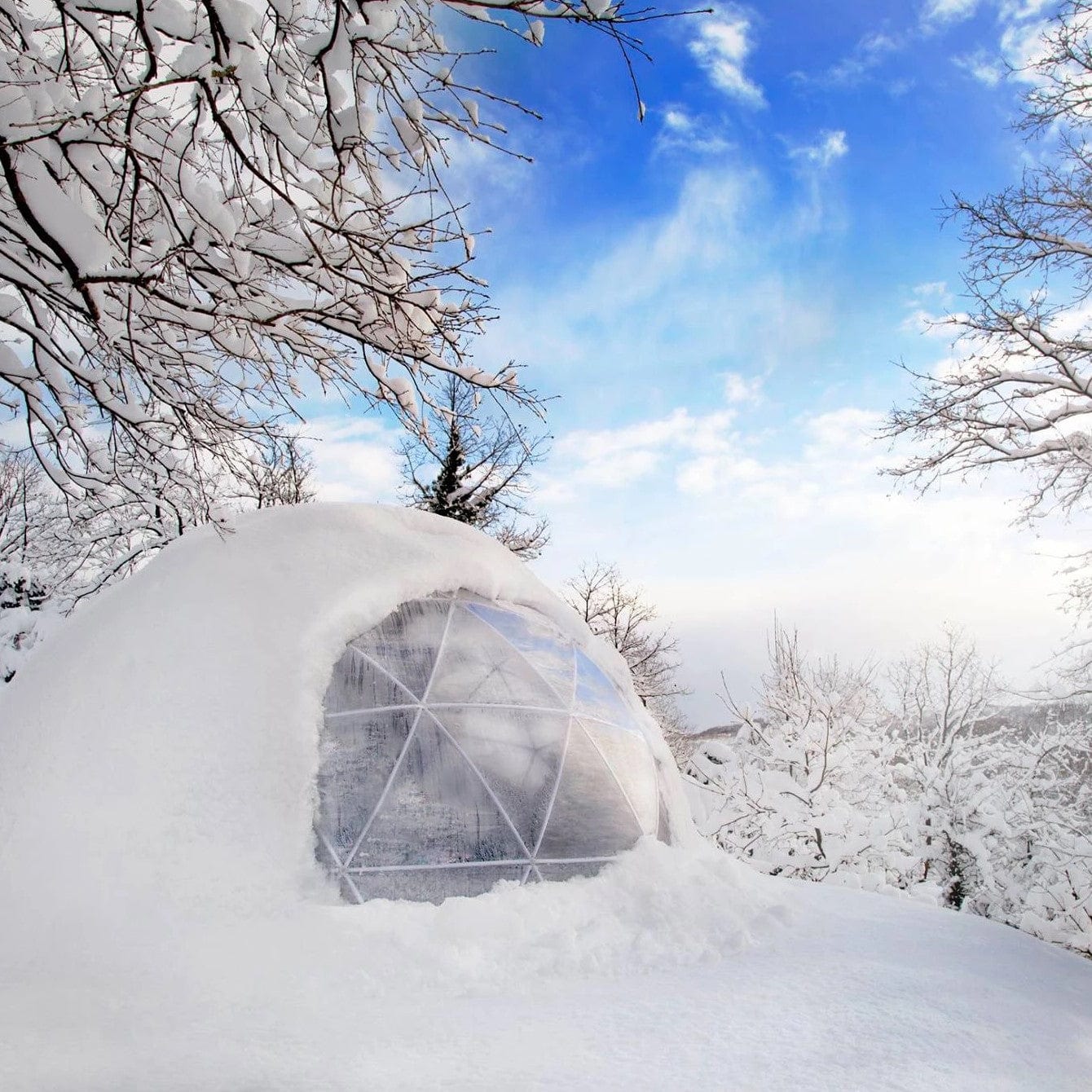 Garden Igloo | Dome, PVC, 11'9"W, 7'2"H - Outdoor Dining, Play Area fo ...